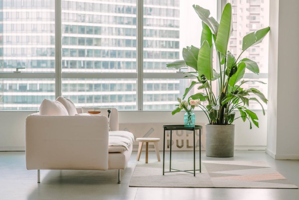 专访PUPUPULA创始人Sic：我们是贴上儿童标签的无印良品和小米