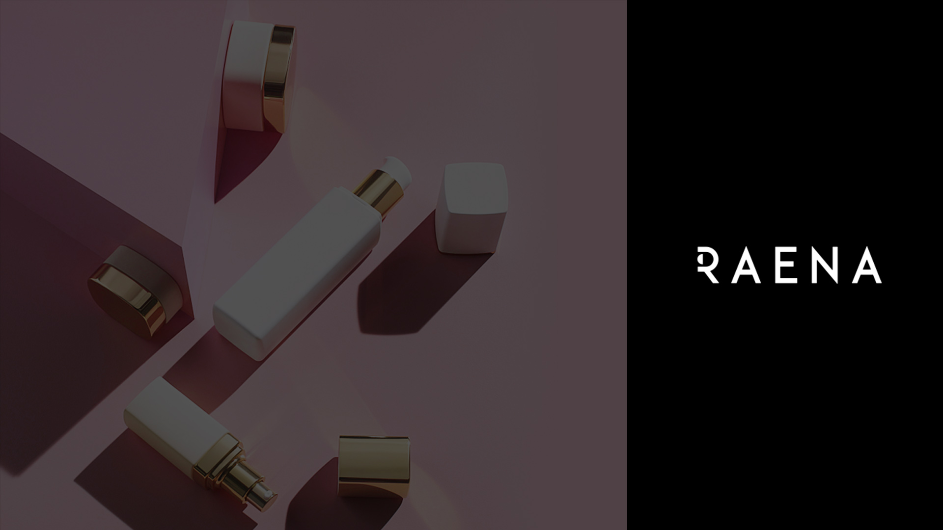 新加坡美妆微商平台Raena获得900万美元A轮融资 - 动点科技