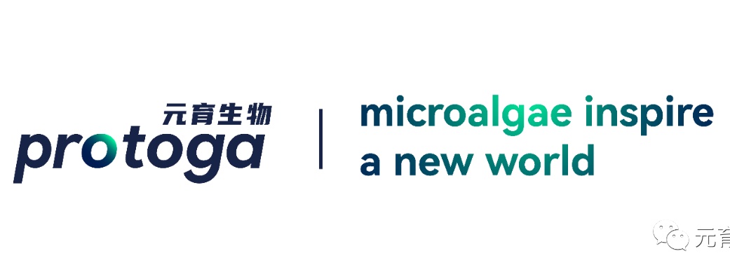 元育生物完成近亿元 A 轮融资，聚焦合成生物学中的微藻基原料研发生 - 动点科技